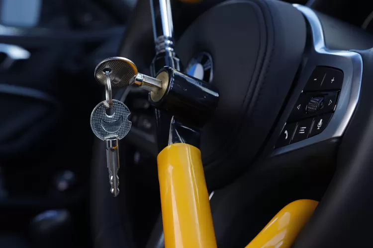 Double Hook Steering Wheel Lock